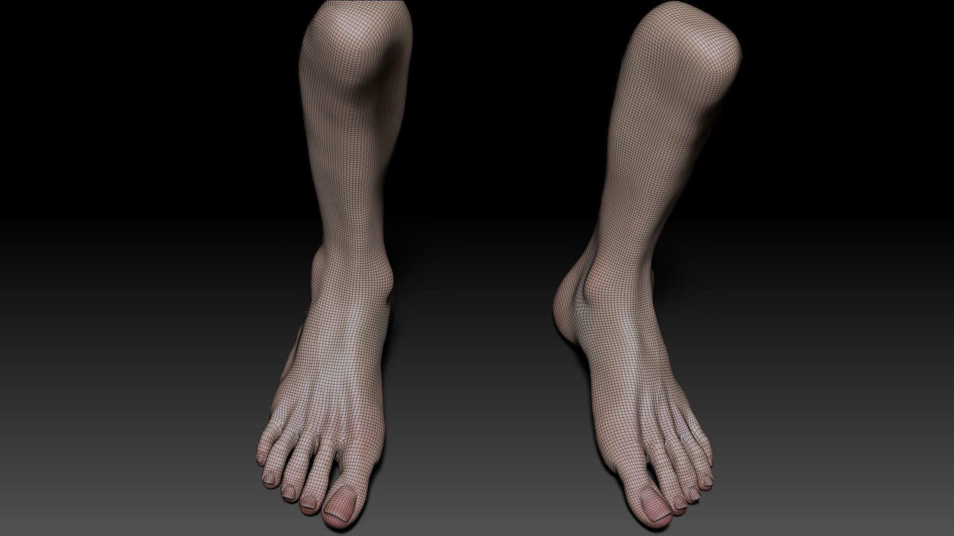 Female Pro Foot Sculpt Project 3D model | CGTrader