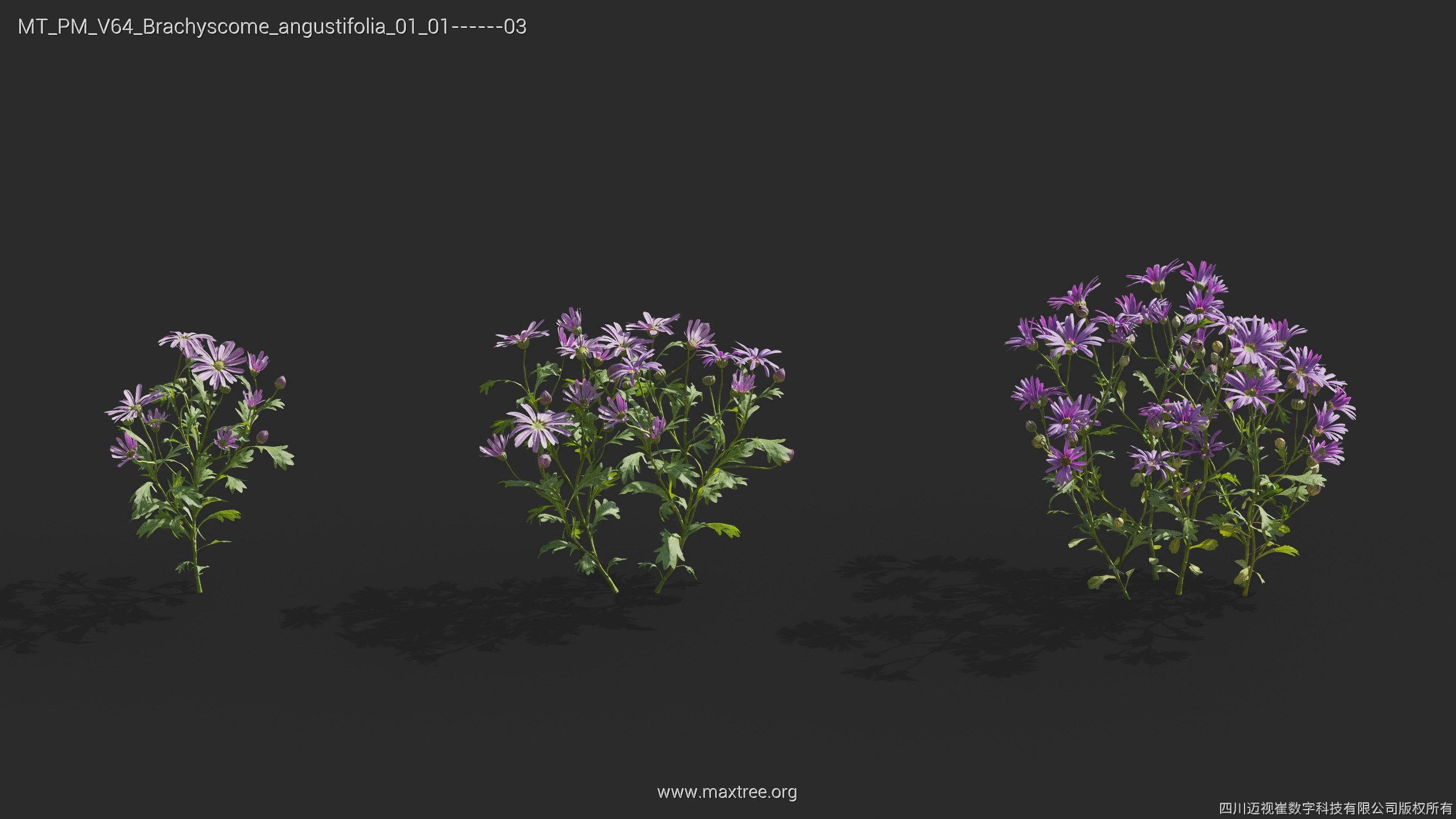Maxtree Plant Models Vol 64 - Mesh 3D model | CGTrader