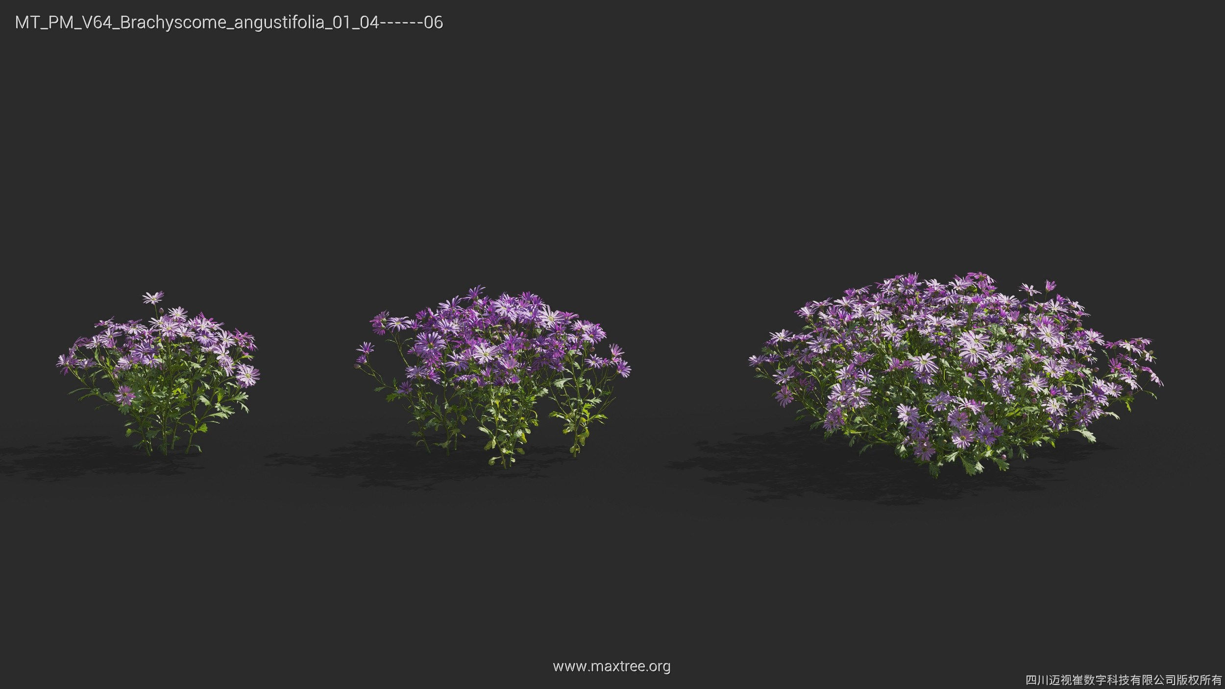 Maxtree Plant Models Vol 64 - Mesh 3D model | CGTrader