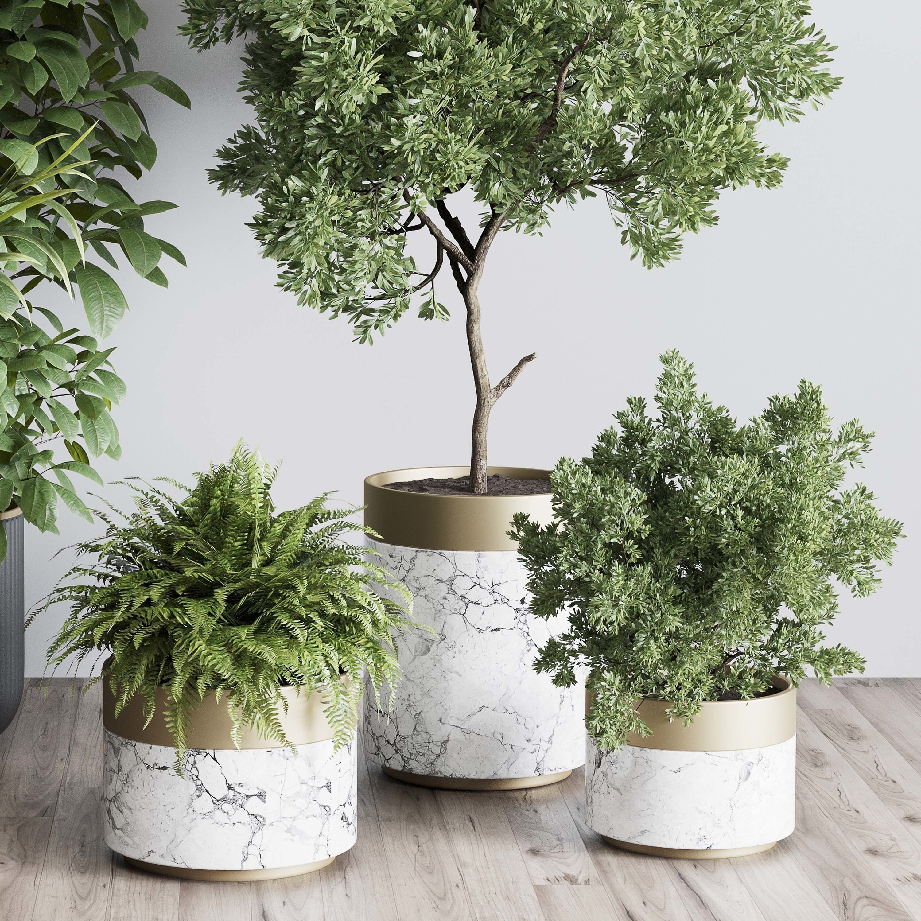 3D model Indoor plant set 363 stone vase plant tree shrub VR / AR / low ...