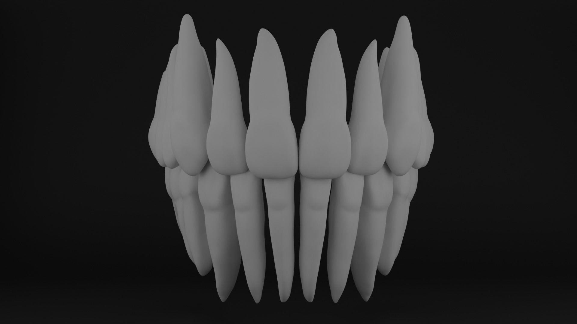 Anatomy of teeth with roots 3D model 3D printable | CGTrader