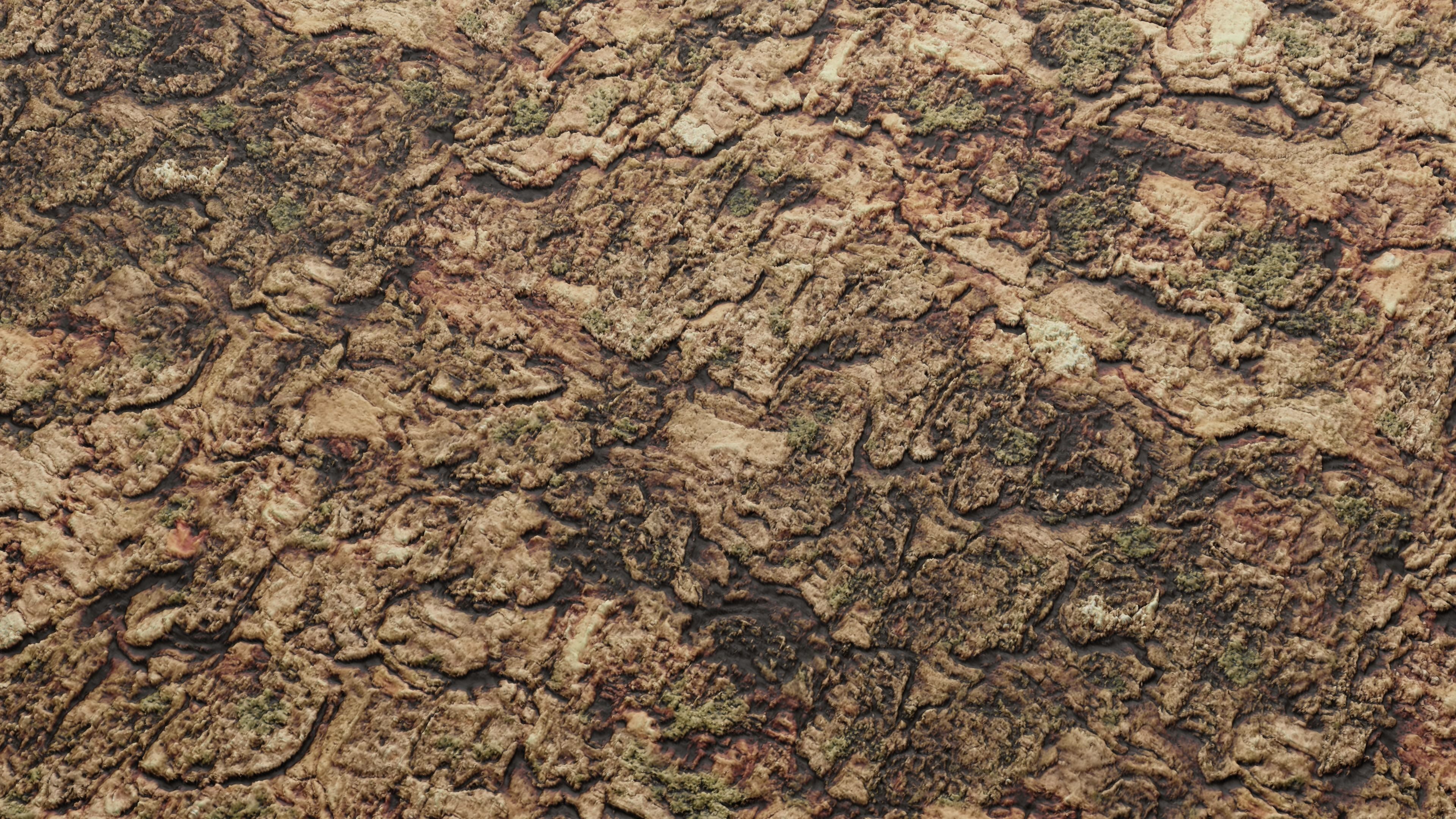 Tree Bark PBR Texture Texture | CGTrader