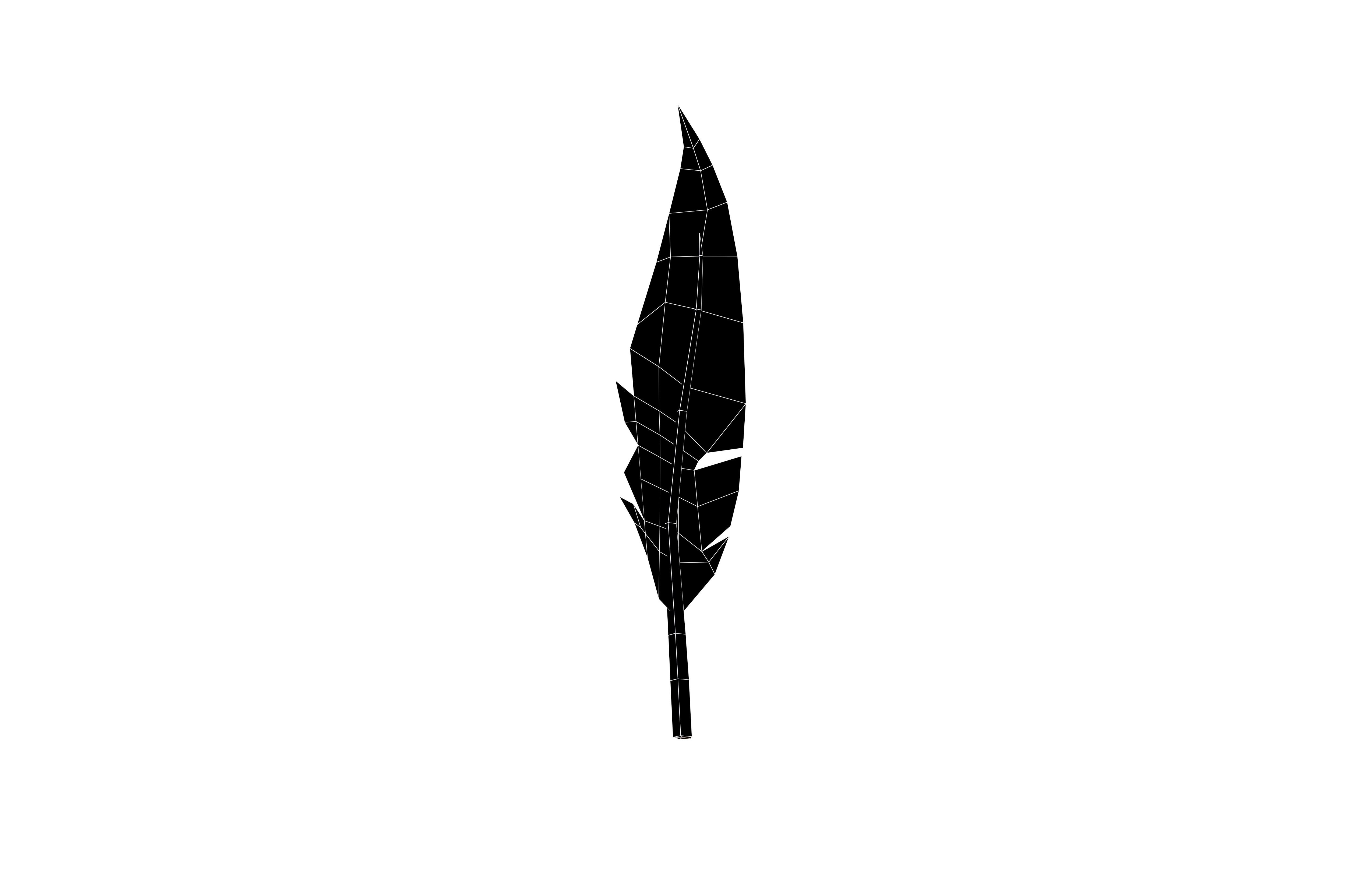 3D model Feathers v1 009 VR / AR / low-poly | CGTrader