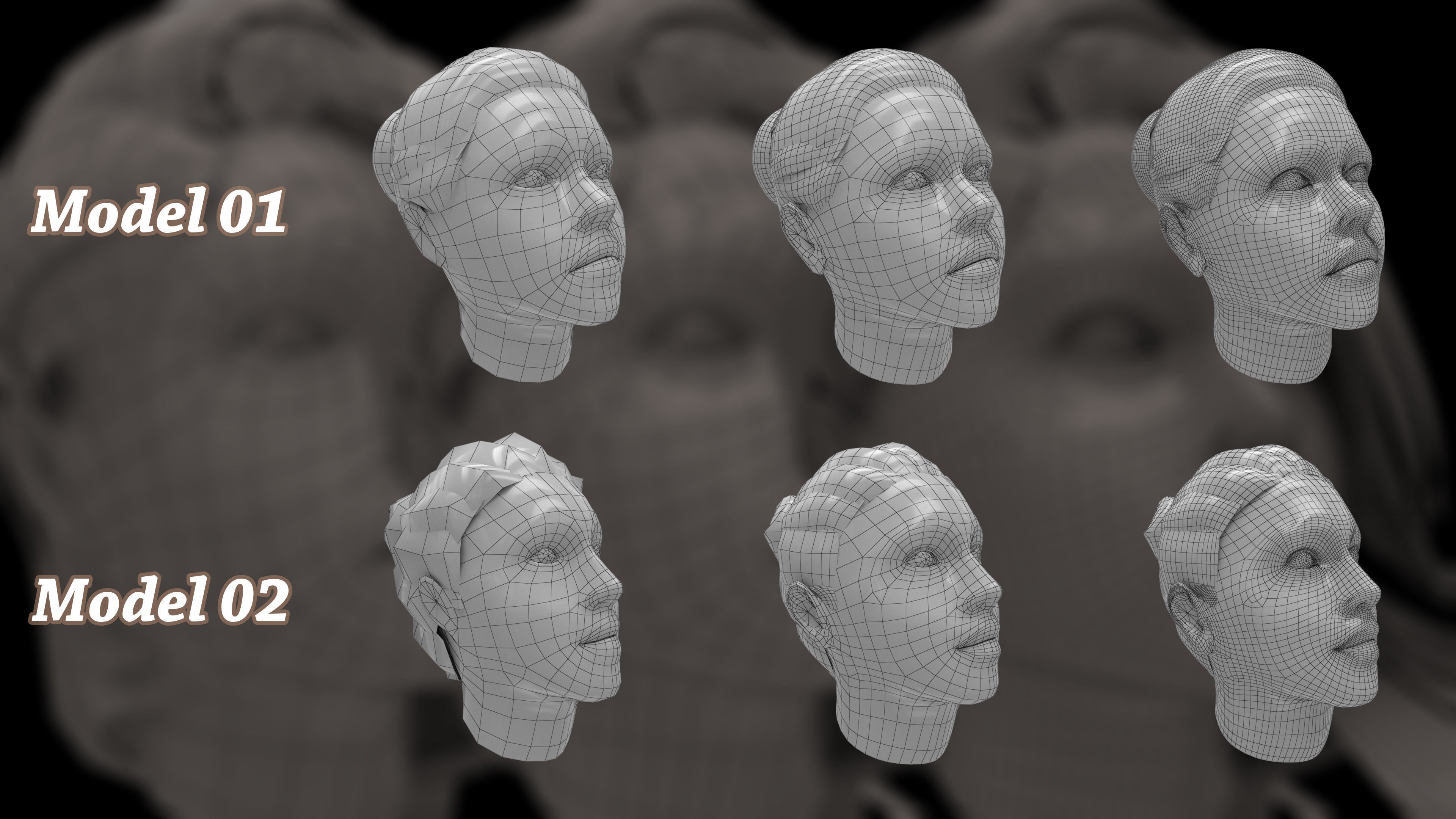 3D model 25 Female Head and Hair 3D Model Basemesh VR / AR / low-poly ...