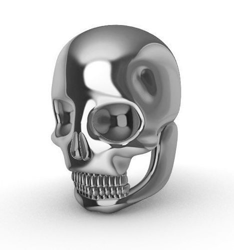 Cranio Humano 3D model 3D printable | CGTrader