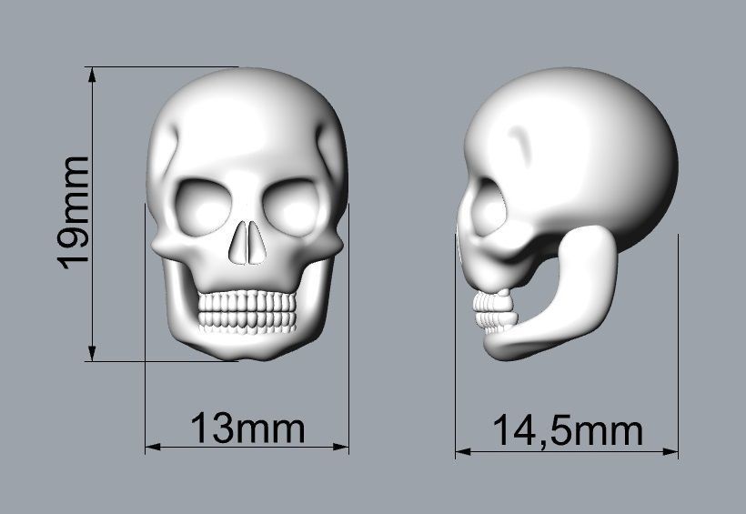 Cranio Humano 3D model 3D printable | CGTrader