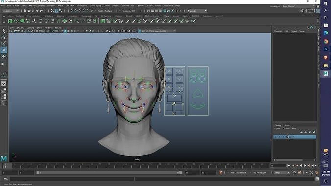 Human Face Rigg free 3D model rigged | CGTrader