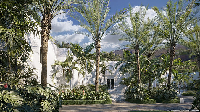 Maxtree Plant Models Vol 71 - Mesh 3D model | CGTrader