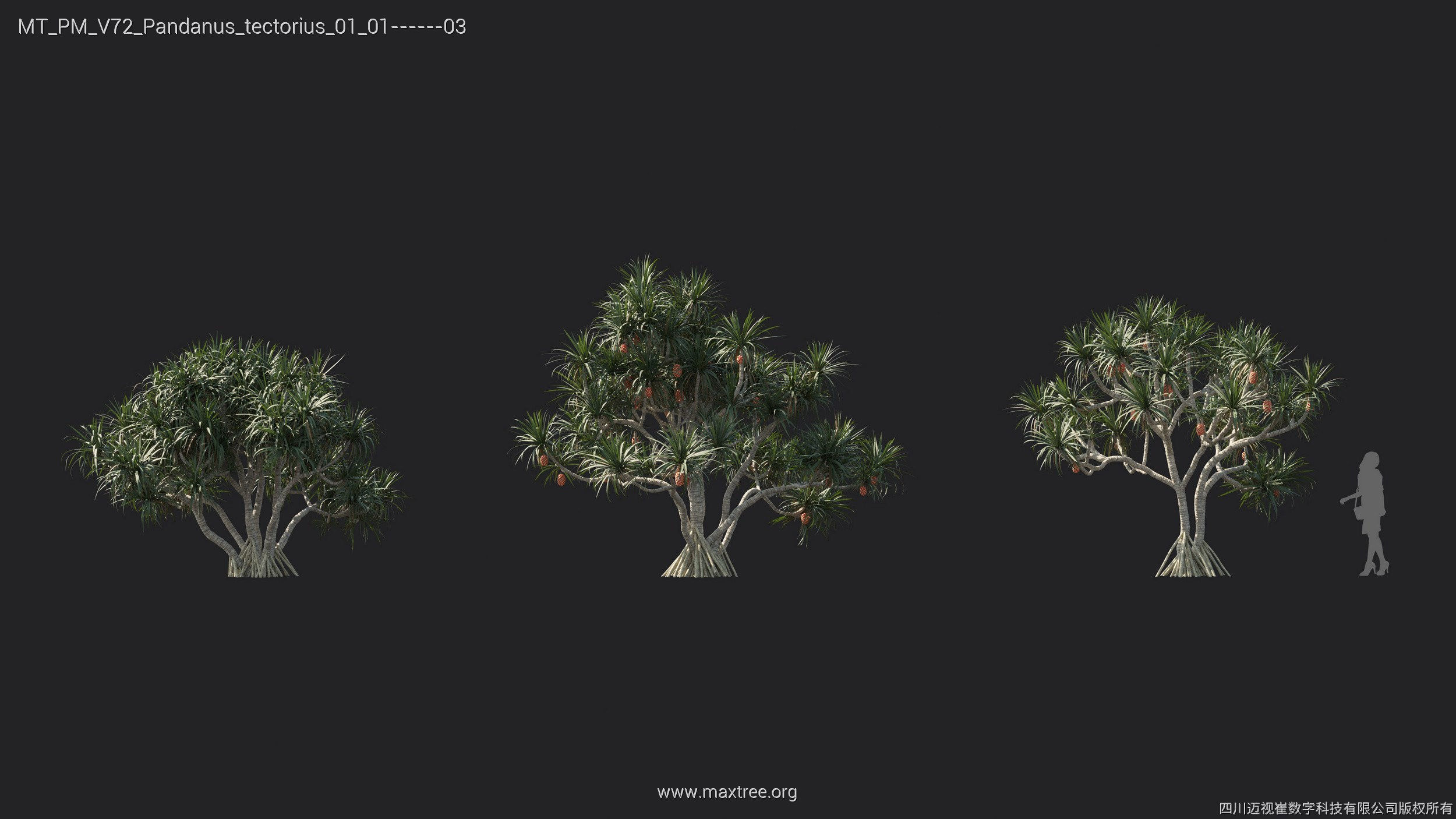 Maxtree Plant Models Vol 72 - Mesh 3D model | CGTrader
