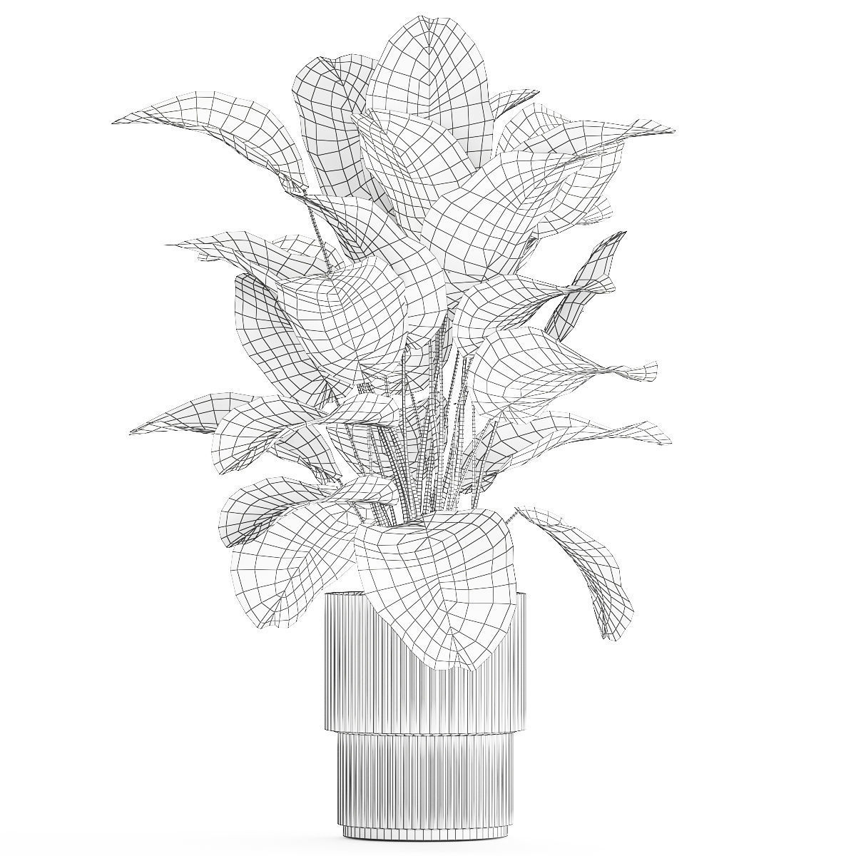 Beautiful Exotic Plant Calathea Lutea In A Pot 1263 3D model | CGTrader
