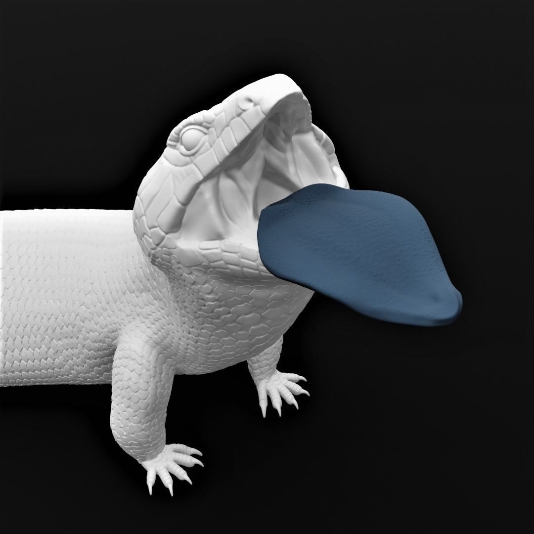 Blue Tongued Skink - Lizard Realistic Reptile 3d Print Model 3D model ...