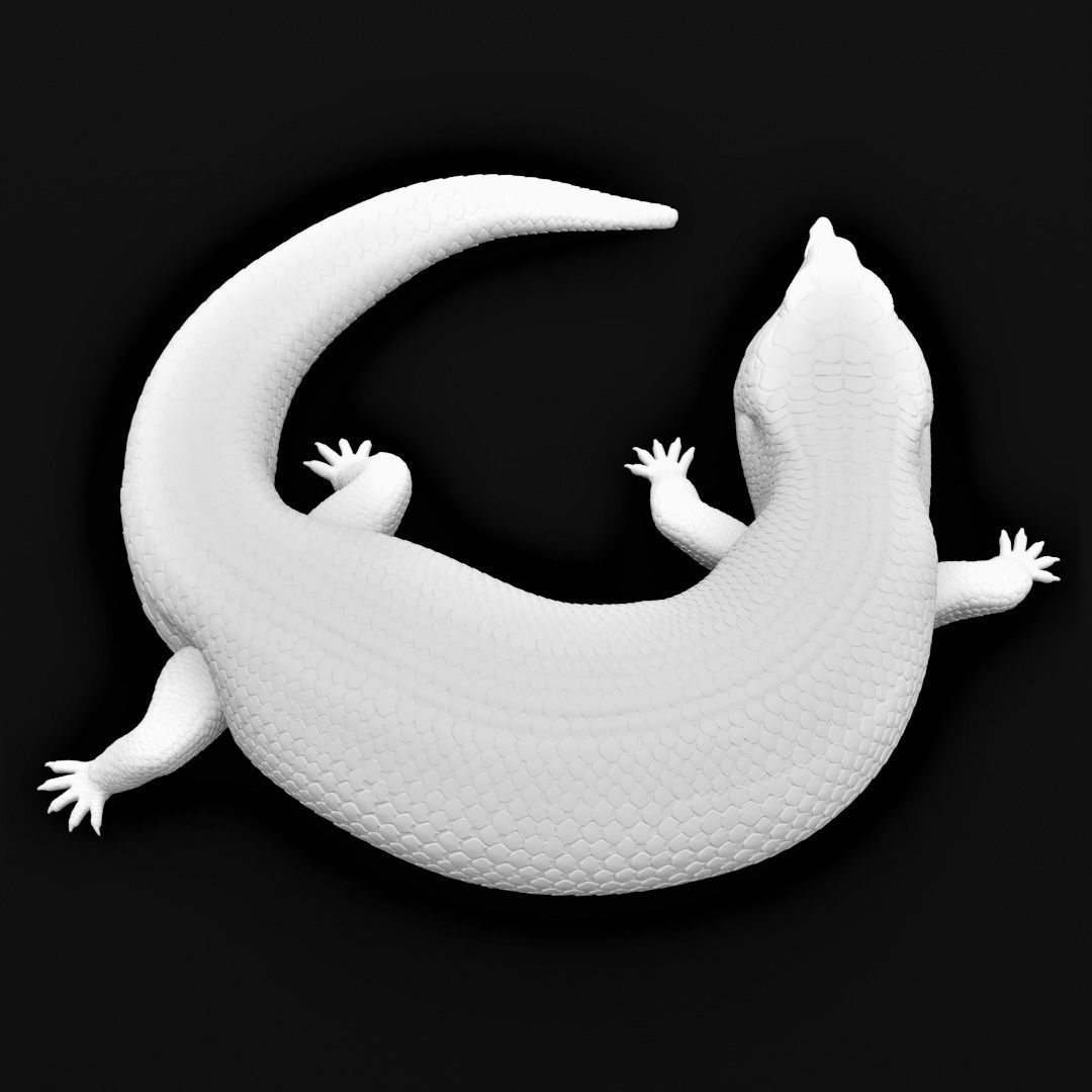 Blue Tongued Skink - Lizard Realistic Reptile 3d Print Model 3D model ...