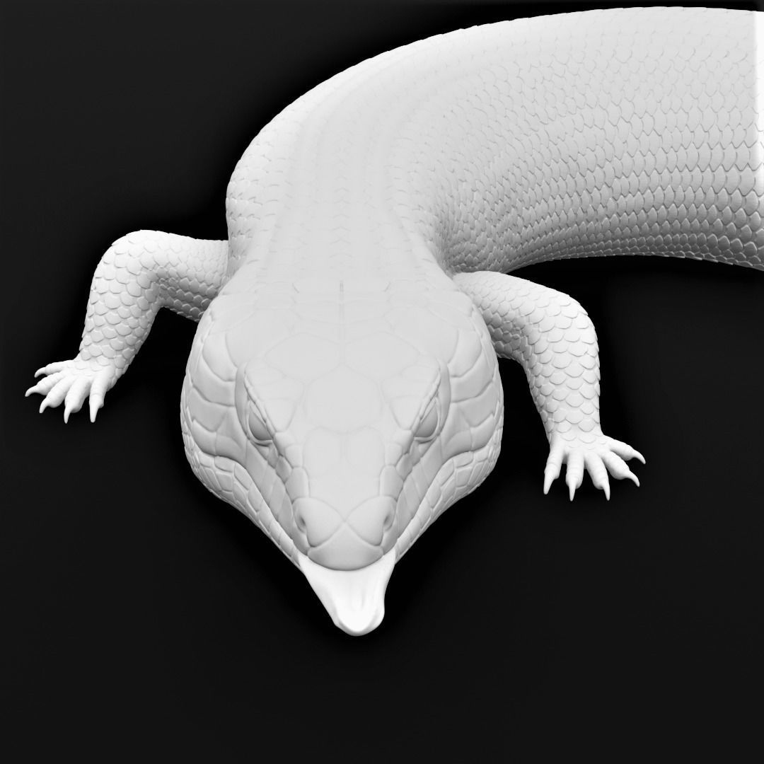 Blue Tongued Skink - Lizard Realistic Reptile 3d Print Model 3D model ...