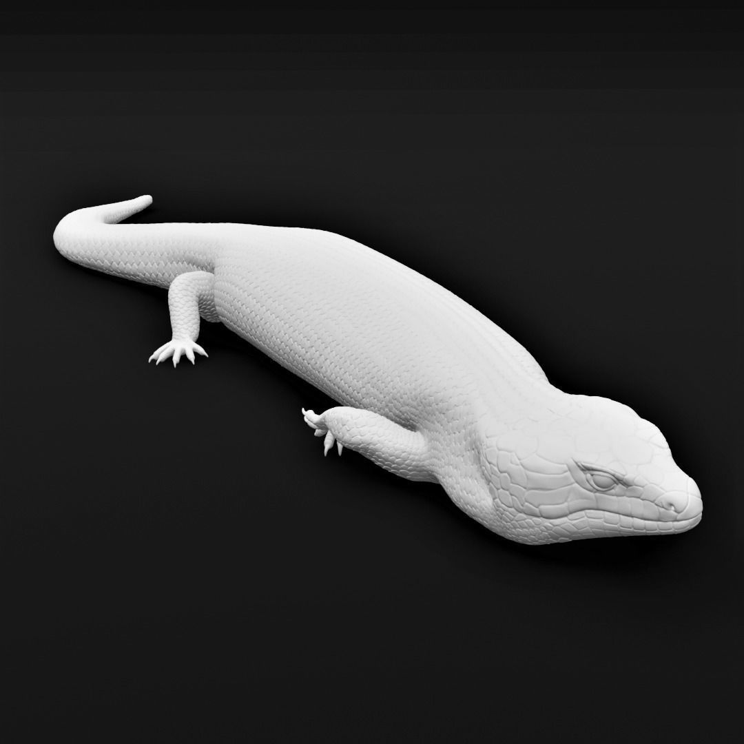 Blue Tongued Skink - Lizard Realistic Reptile 3d Print Model 3D model ...