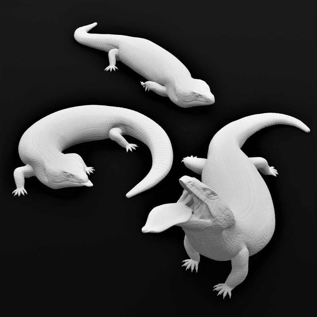 Blue Tongued Skink - Lizard Realistic Reptile 3d Print Model 3D model 3D printable | CGTrader
