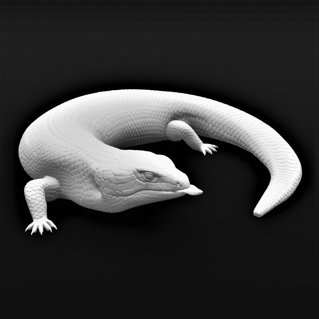 Blue Tongued Skink - Lizard Realistic Reptile 3d Print Model 3D model ...