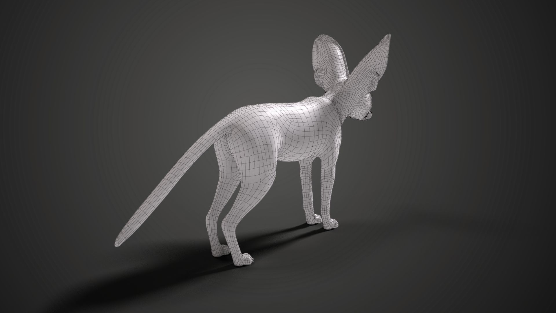 Fennec Fox Animated VFX Grace 3D model animated rigged | CGTrader
