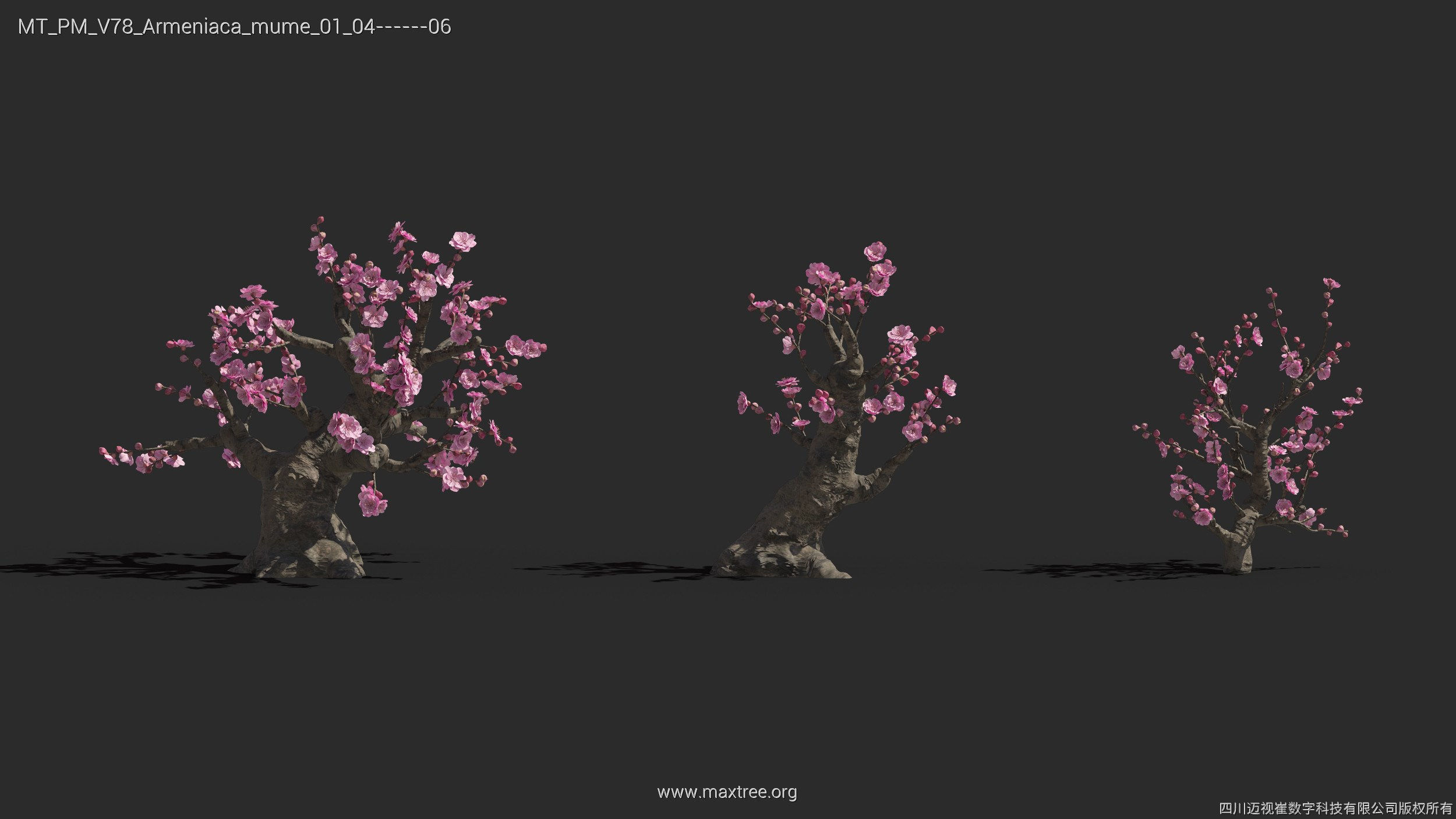 Maxtree Plant Models Vol 78 - Mesh 3D model | CGTrader