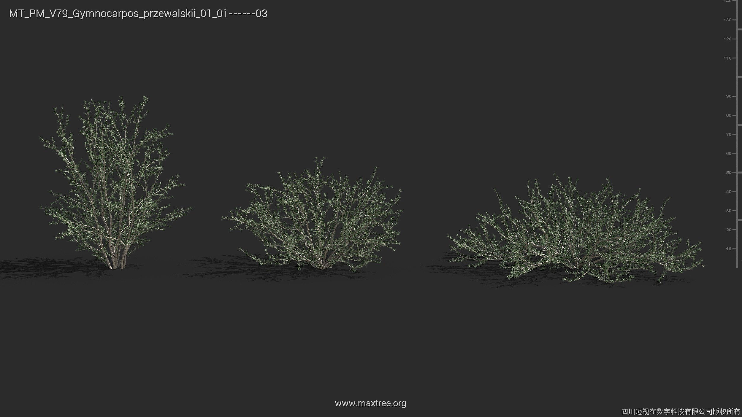Maxtree Plant Models Vol 79 - Mesh 3D model | CGTrader