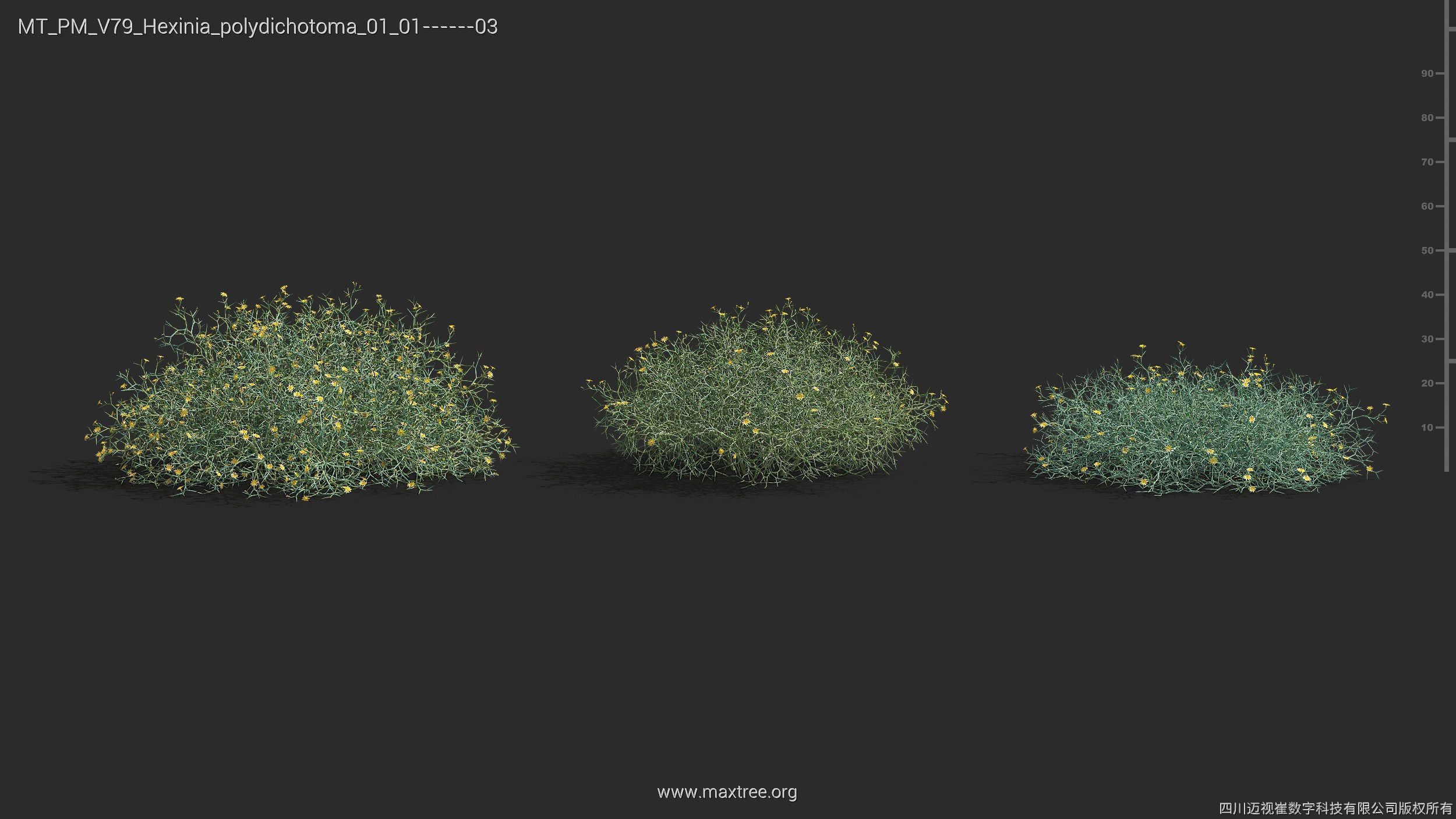 Maxtree Plant Models Vol 79 - Mesh 3D model | CGTrader