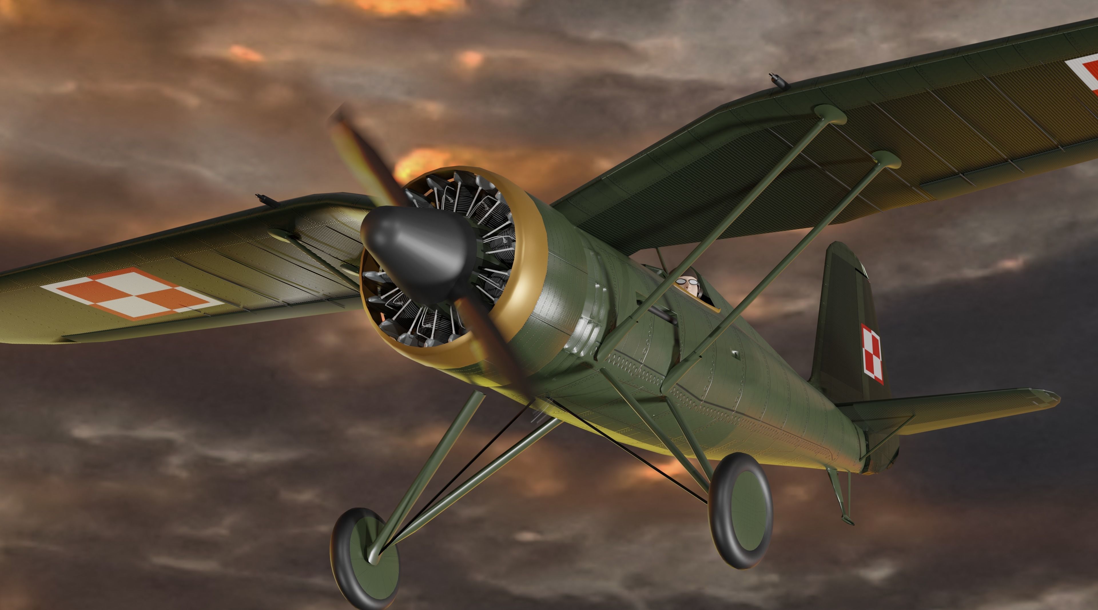 PZL 11 C Polish Gullwing Fighter 3D model | CGTrader