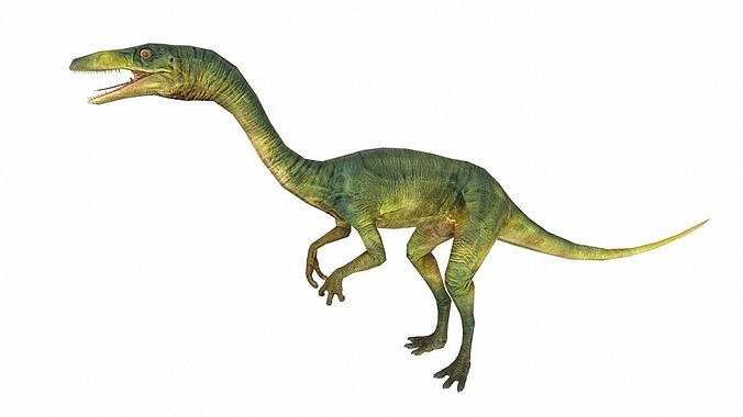 3D model Compsognathus VR / AR / low-poly | CGTrader