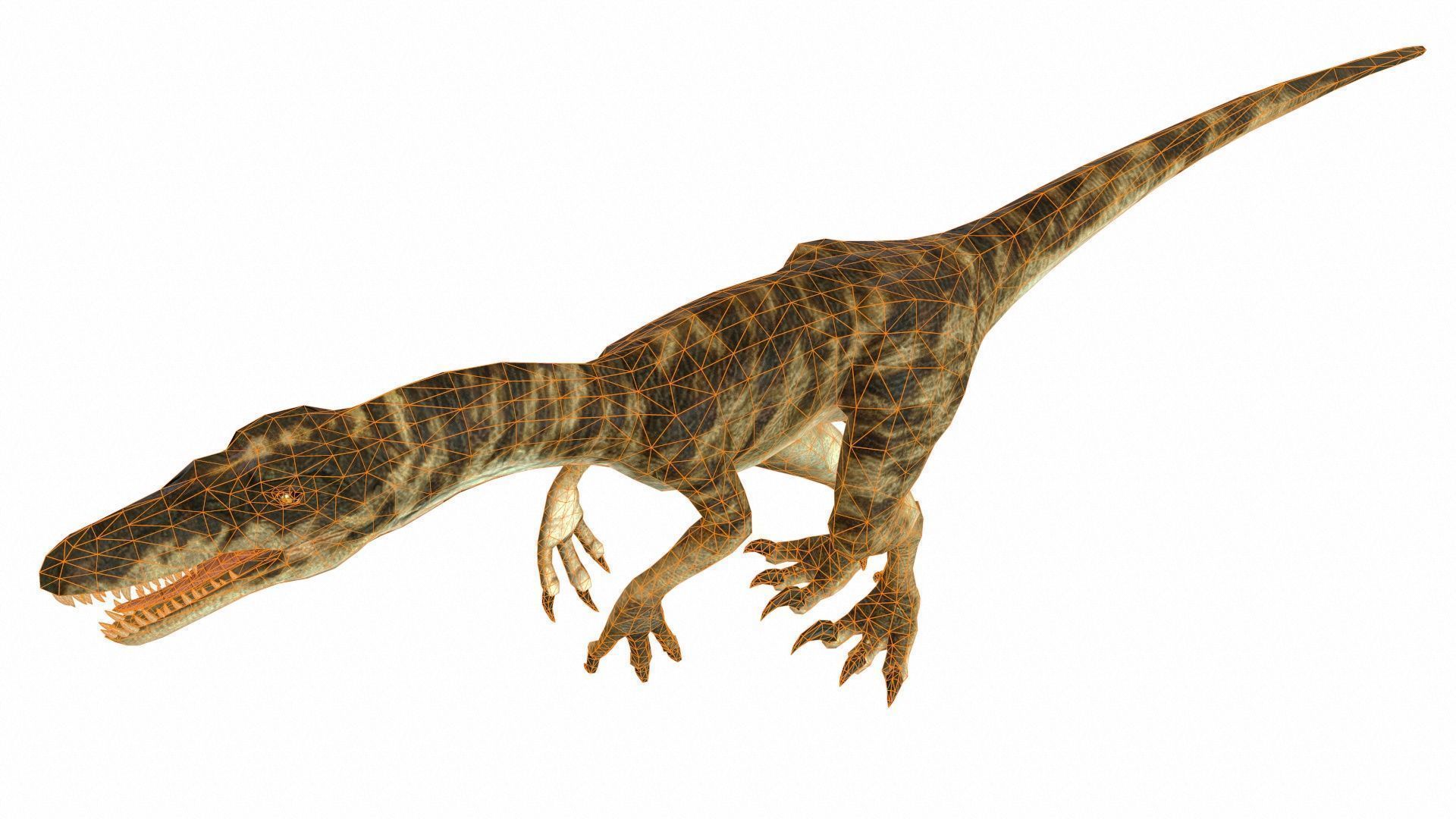 3D model Raptor VR / AR / low-poly | CGTrader