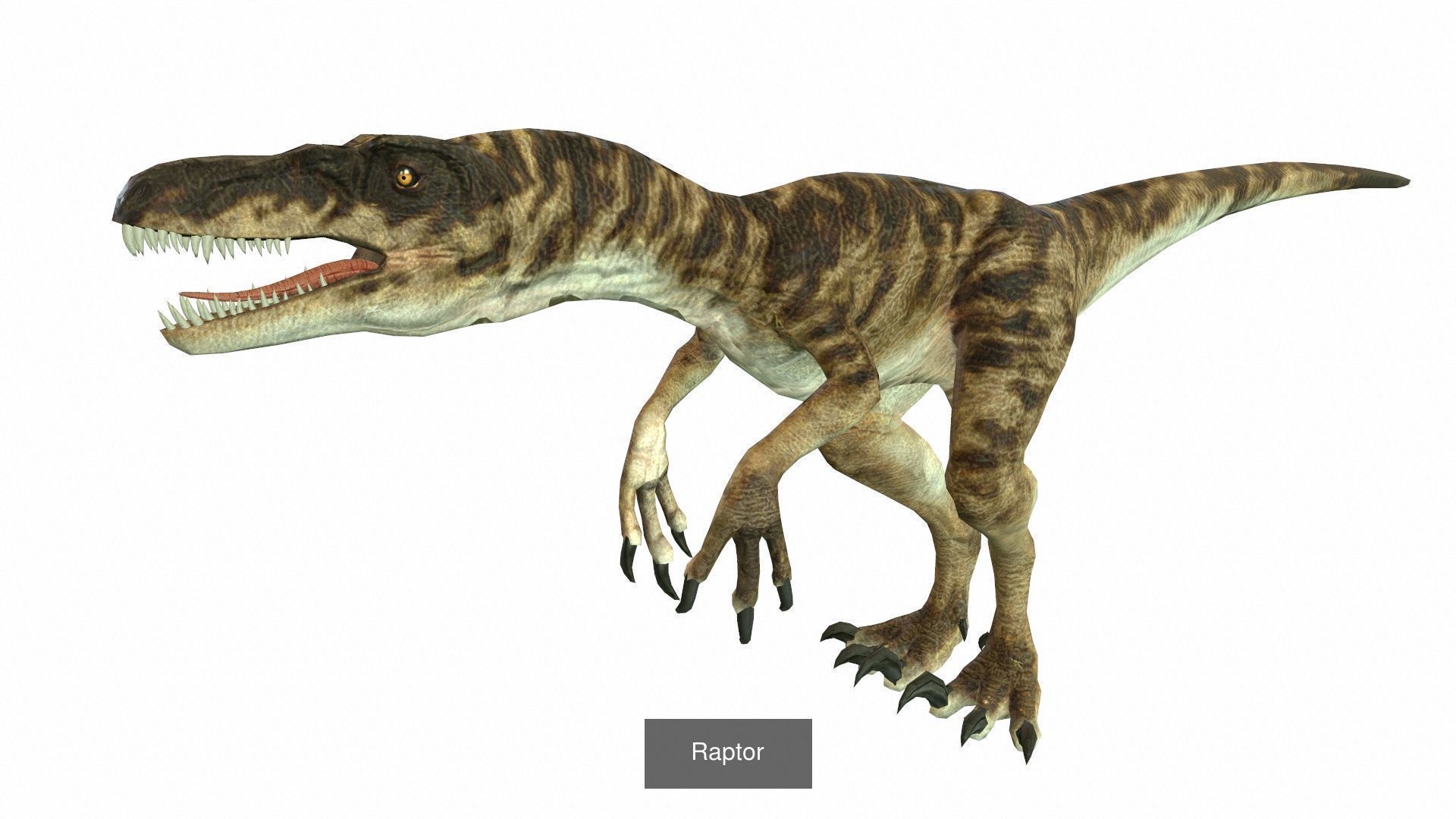 Dinosaur Pack 3D Model Collection | CGTrader