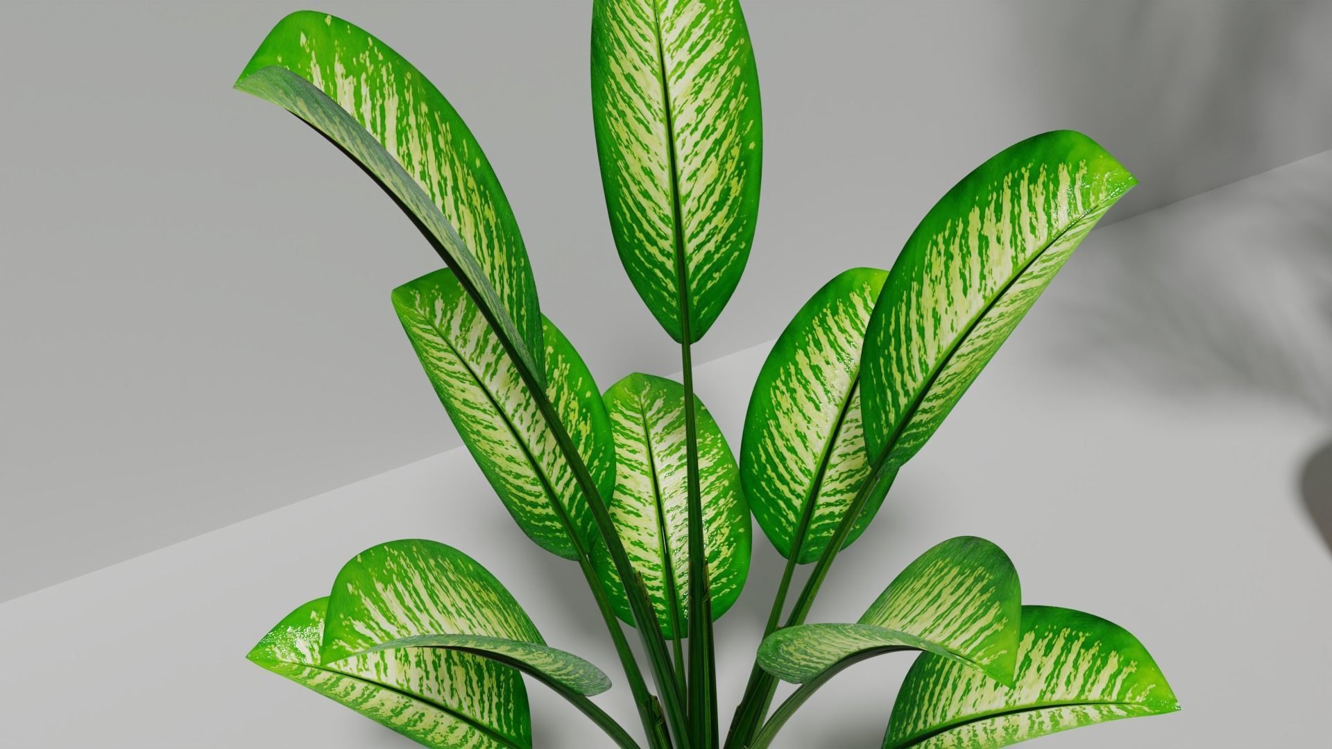 3D model Indoor Plants VR / AR / low-poly | CGTrader