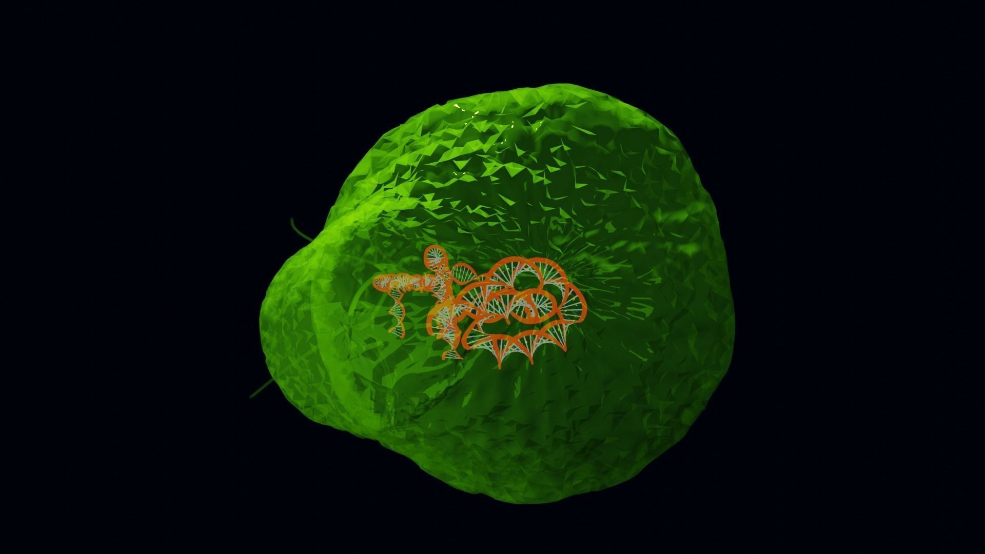 3D model helix dna label bacteria flagella bacilli VR / AR / low-poly ...