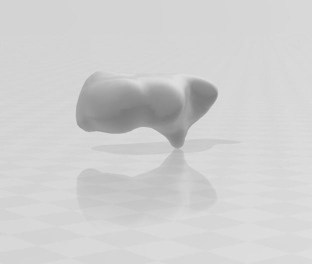 ESQUELETO HUESO POR HUESO - BONE BY BONE SKELETON 3D model 3D printable ...