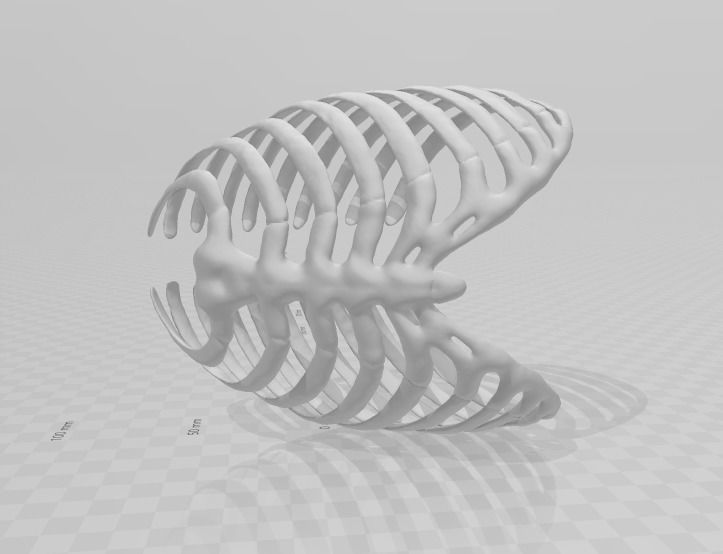 ESQUELETO HUESO POR HUESO - BONE BY BONE SKELETON 3D model 3D printable ...