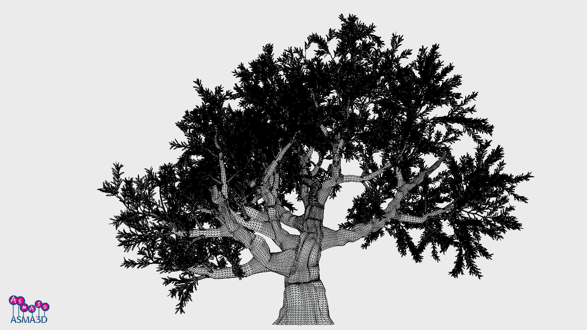 Live Oak Tree S4 3d Model Cgtrader