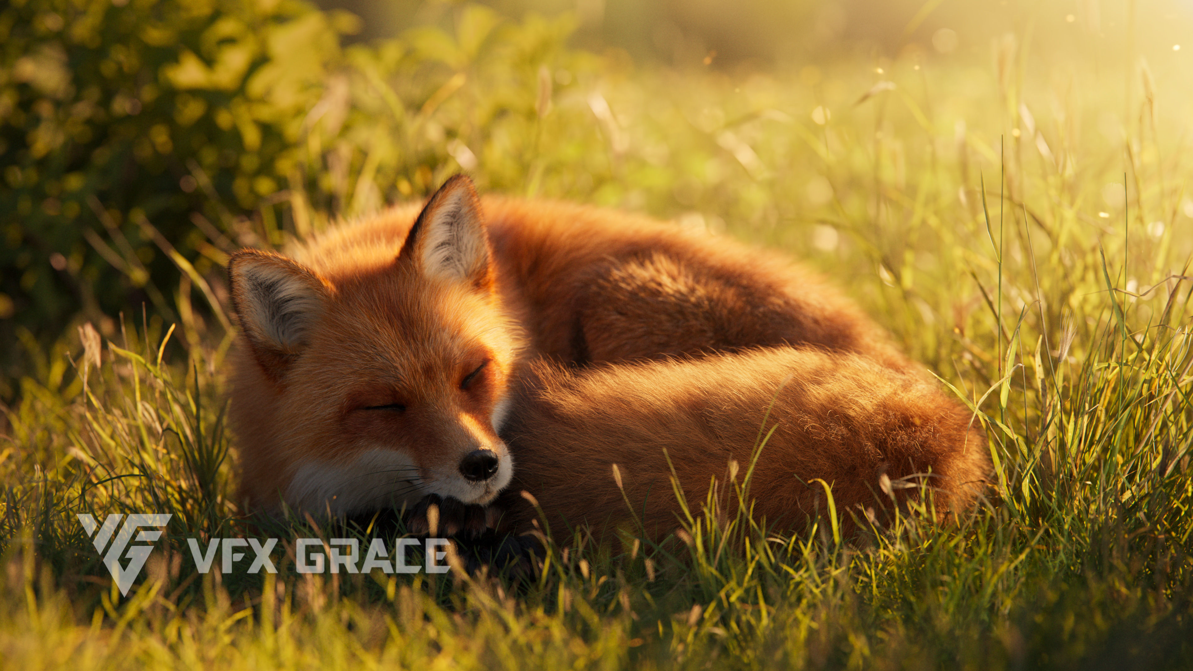 Red Fox Animation VFX Grace 3D model animated rigged | CGTrader