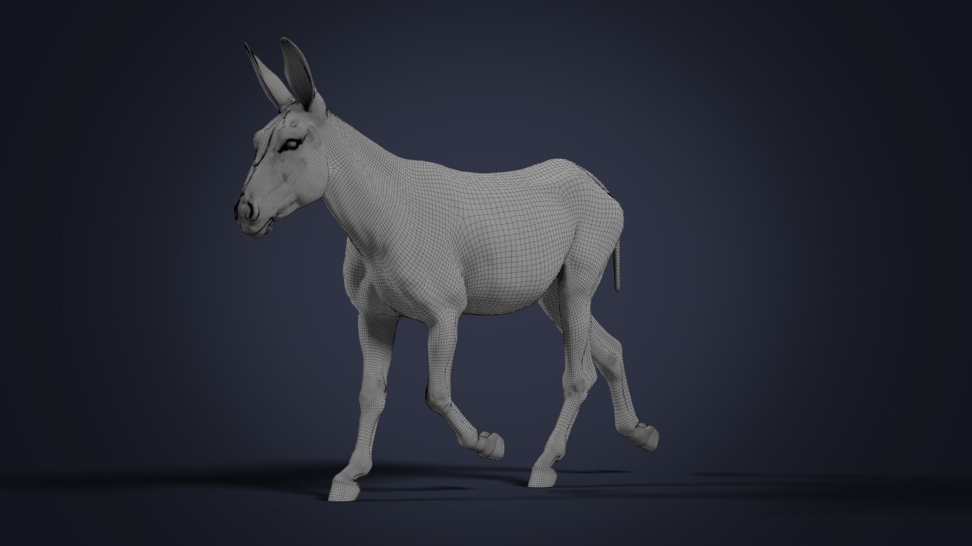 Donkey Summer Animation VFX Grace 3D model animated rigged | CGTrader