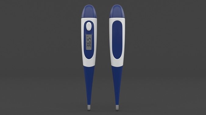 Thermometer 3D model | CGTrader