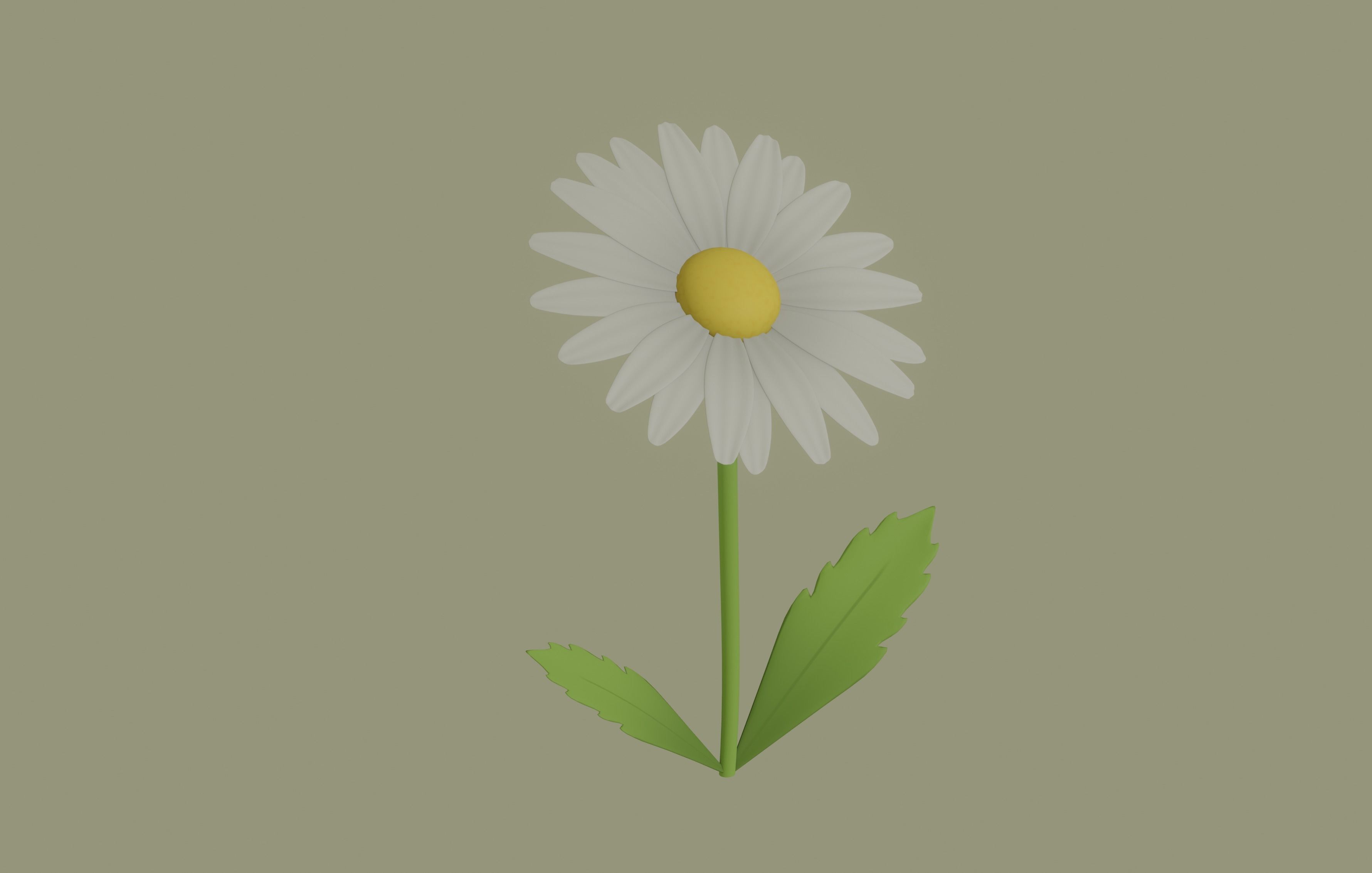 3D model Daisy Flower VR / AR / low-poly | CGTrader