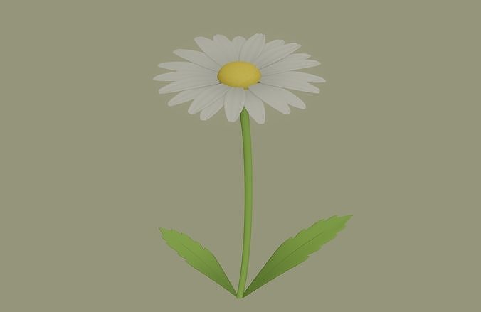 3D model Daisy Flower VR / AR / low-poly | CGTrader
