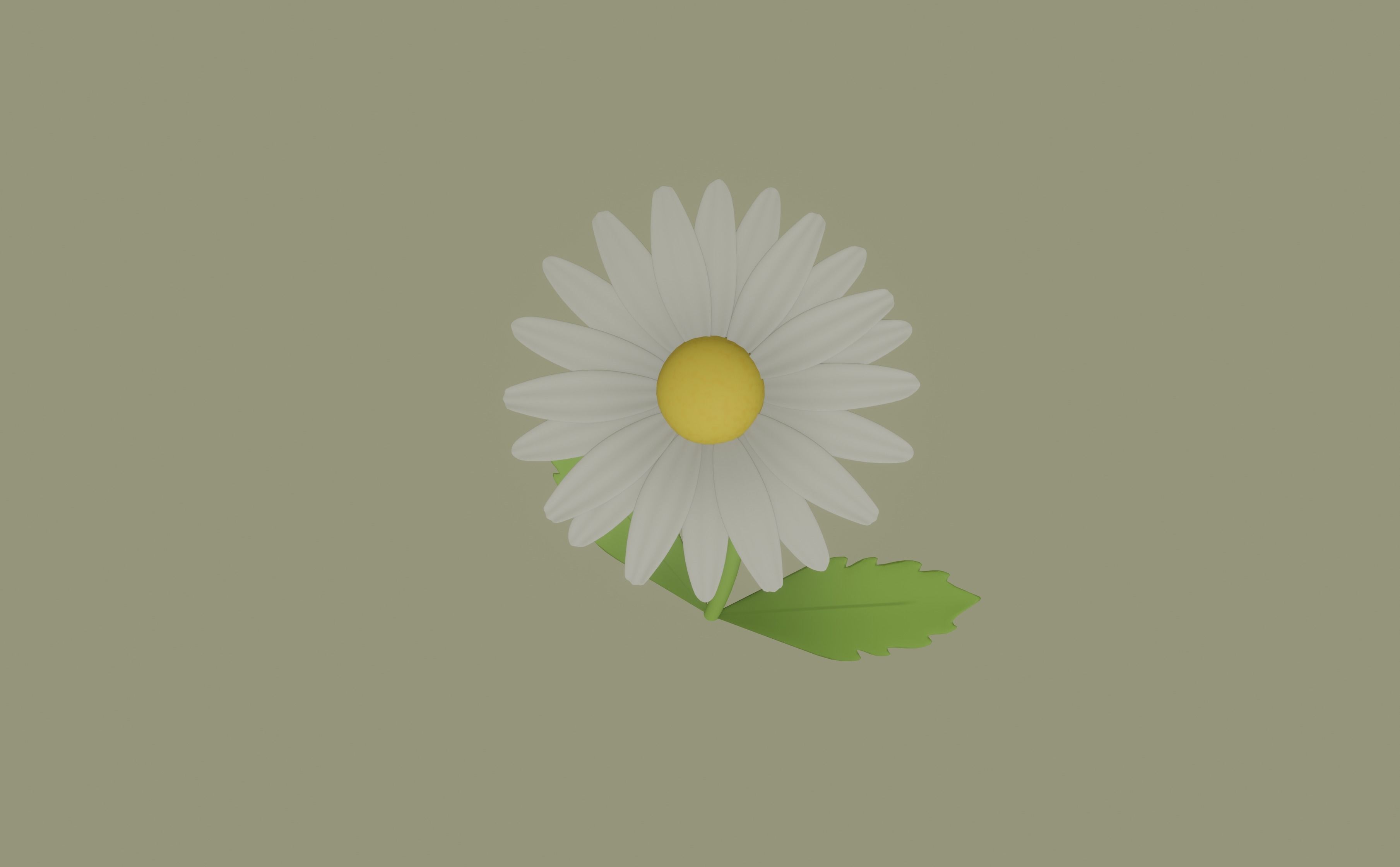 3D model Daisy Flower VR / AR / low-poly | CGTrader