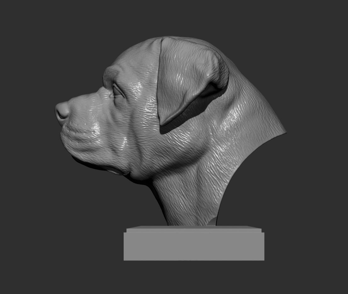 rottweiler 3D print model 3D model 3D printable | CGTrader