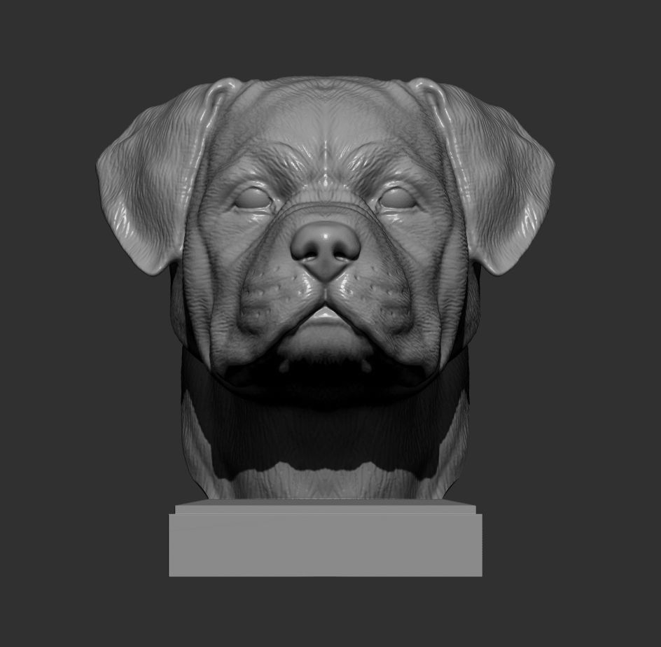 rottweiler 3D print model 3D model 3D printable | CGTrader