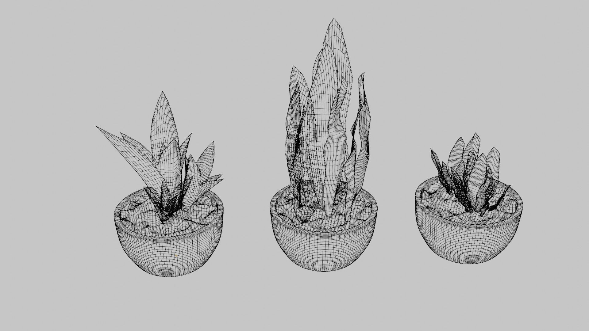 3D model Snake plant 3d Model VR / AR / low-poly | CGTrader