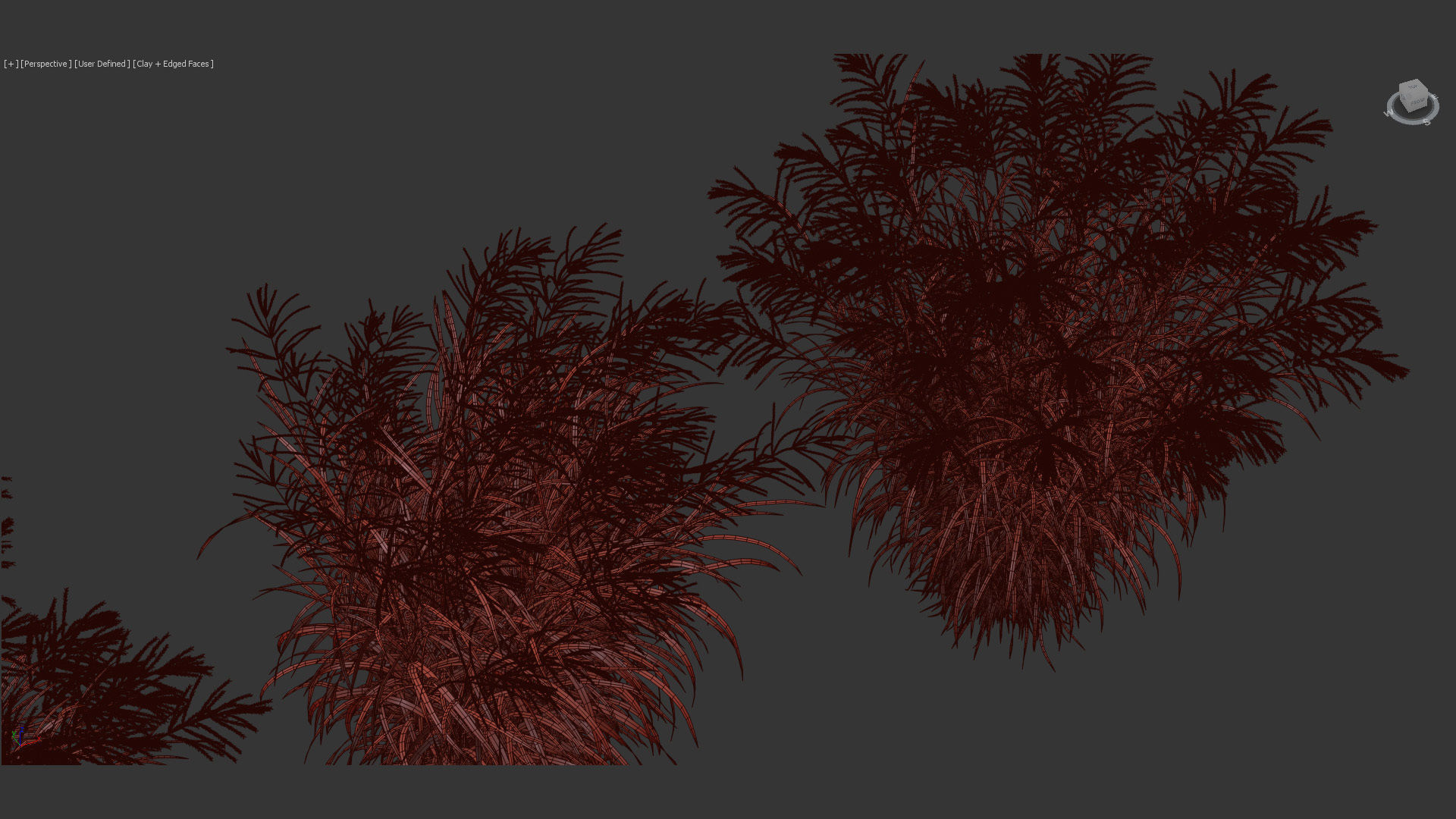 Miscanthus sinensis zebrinus Zenra grass 3D Model 02 3D model | CGTrader