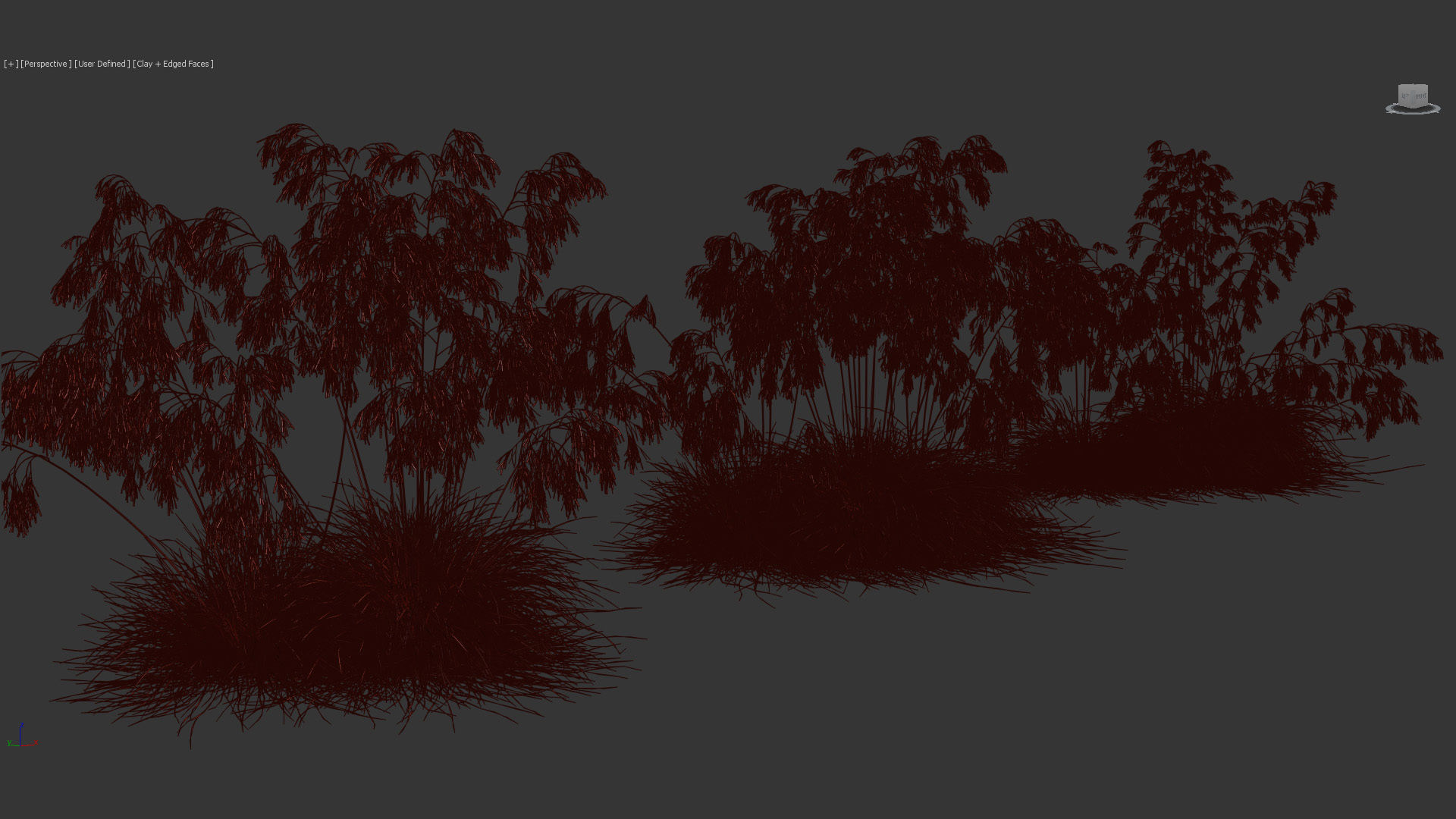 Stipa gigantea Golden oat 3D Model 02 3D model | CGTrader