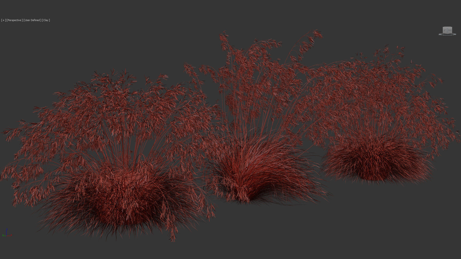 Stipa gigantea Golden oat 3D Model 02 3D model | CGTrader