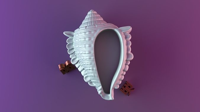 Conch Shell Shape jewelry 3D model 3D printable | CGTrader