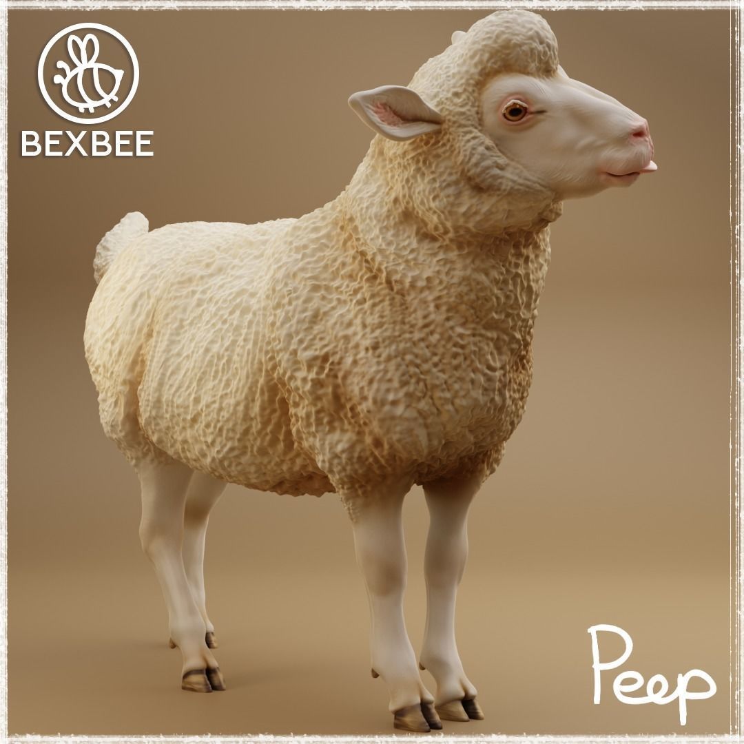 Peep the sheep 3D model 3D printable | CGTrader