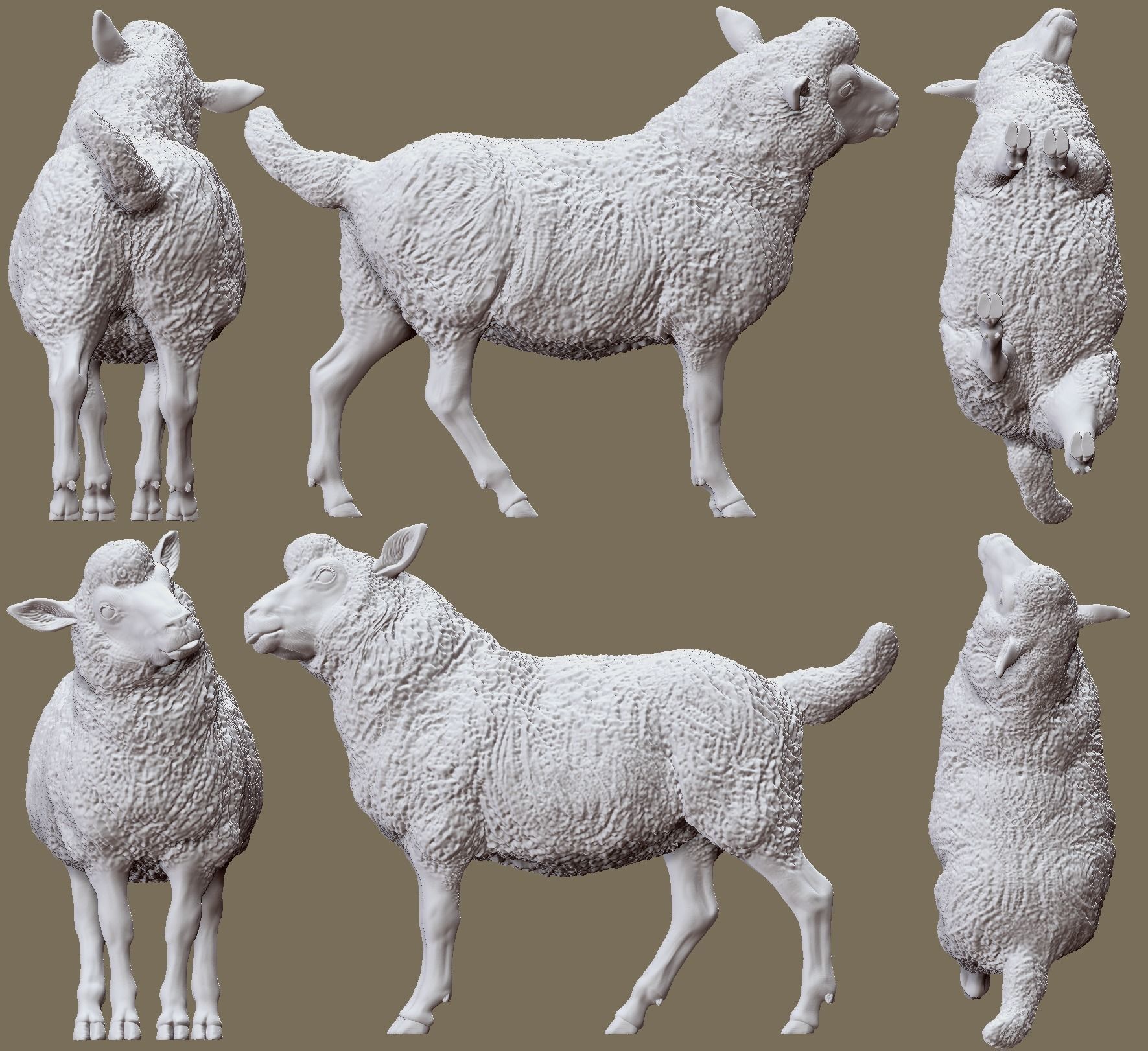 Peep the sheep 3D model 3D printable | CGTrader
