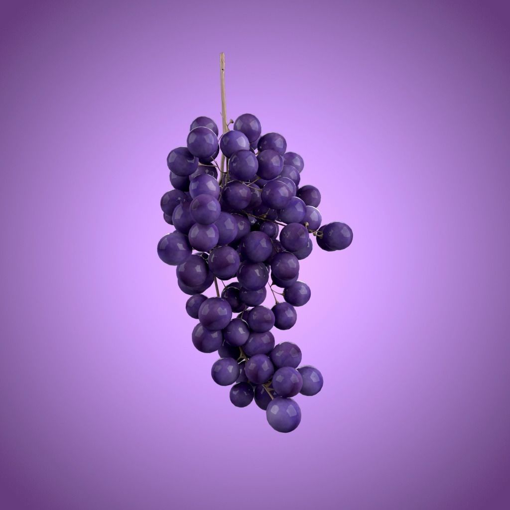 Bunch grapes 3D model | CGTrader