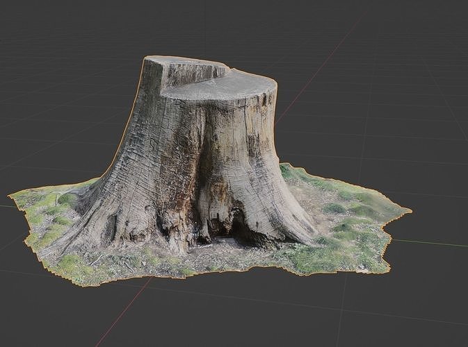 Tree-stumb 3D model | CGTrader